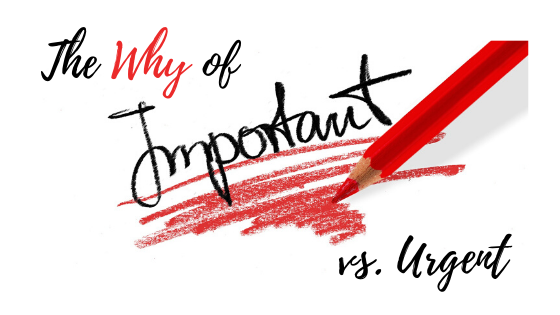 The Why of Important vs. Urgent – Regine Albrecht-Strategies with A Kick